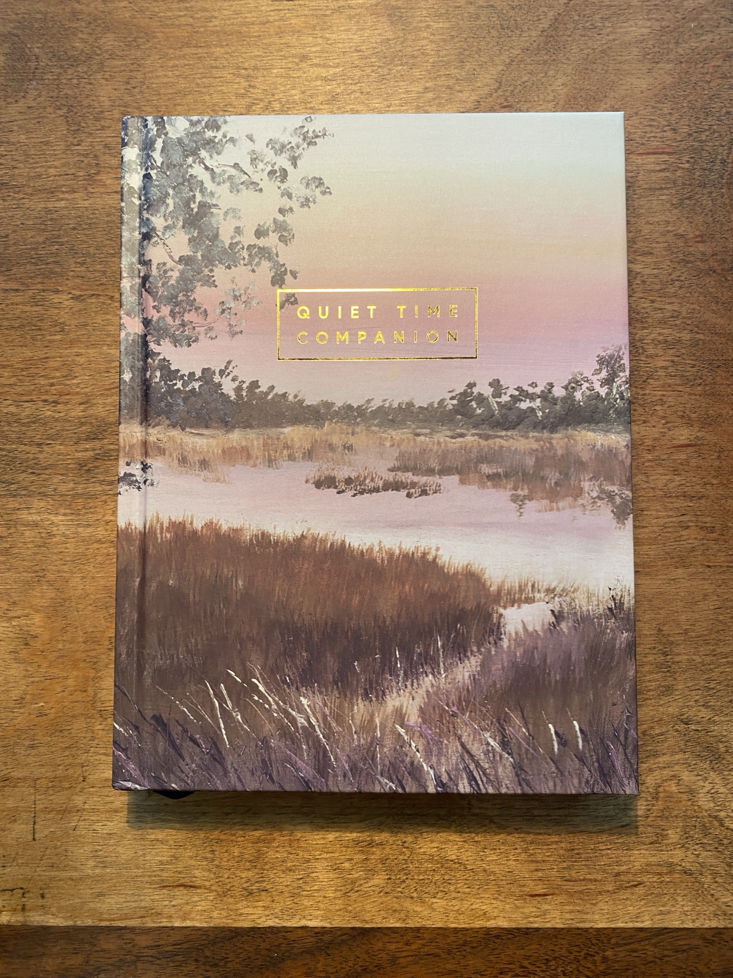 Quiet Time Companion from Wholehearted – Mu Draconis